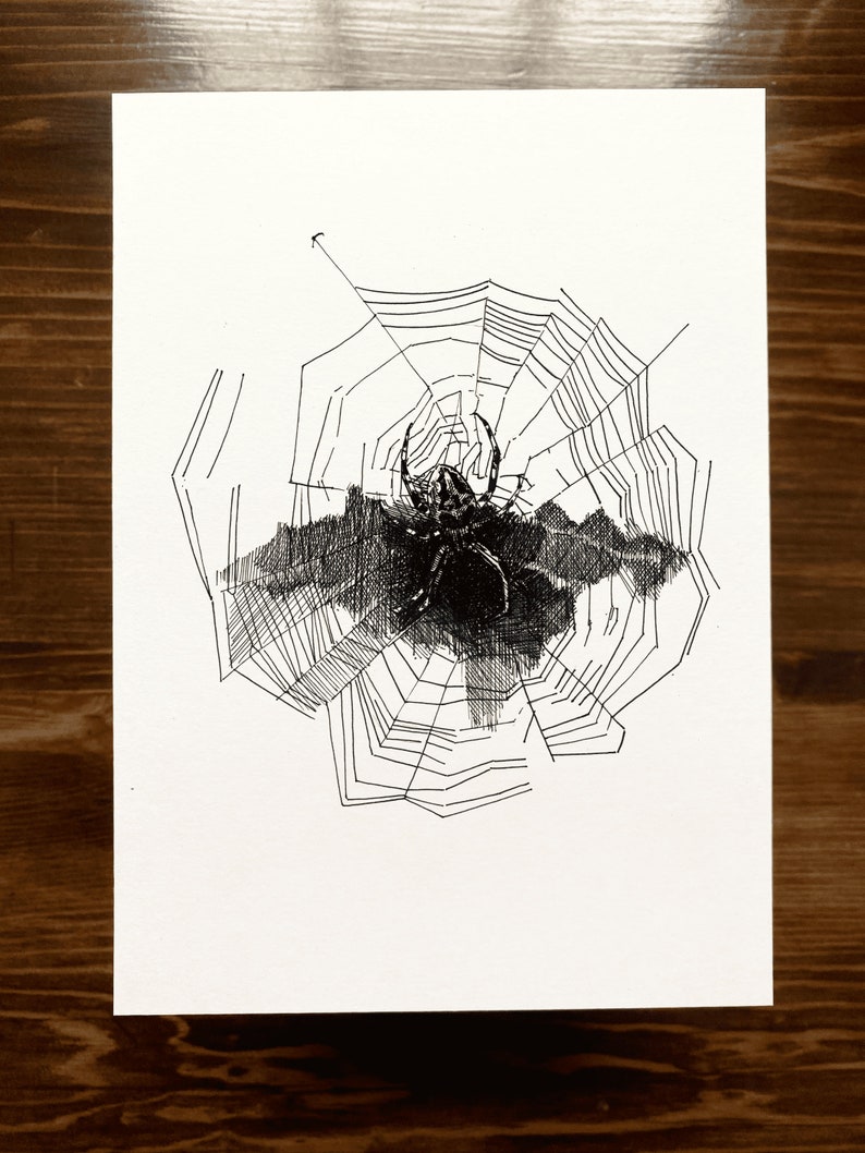 Orb Weaver Spider | Animal Drawing Wall Art | Art of Zoo | Animal Art ...