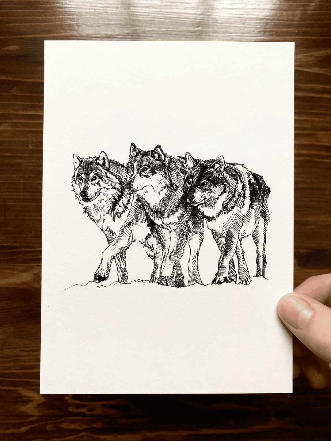 Pack of Wolves | Animal Drawing Wall Art | Art of Zoo | Animal Art ...