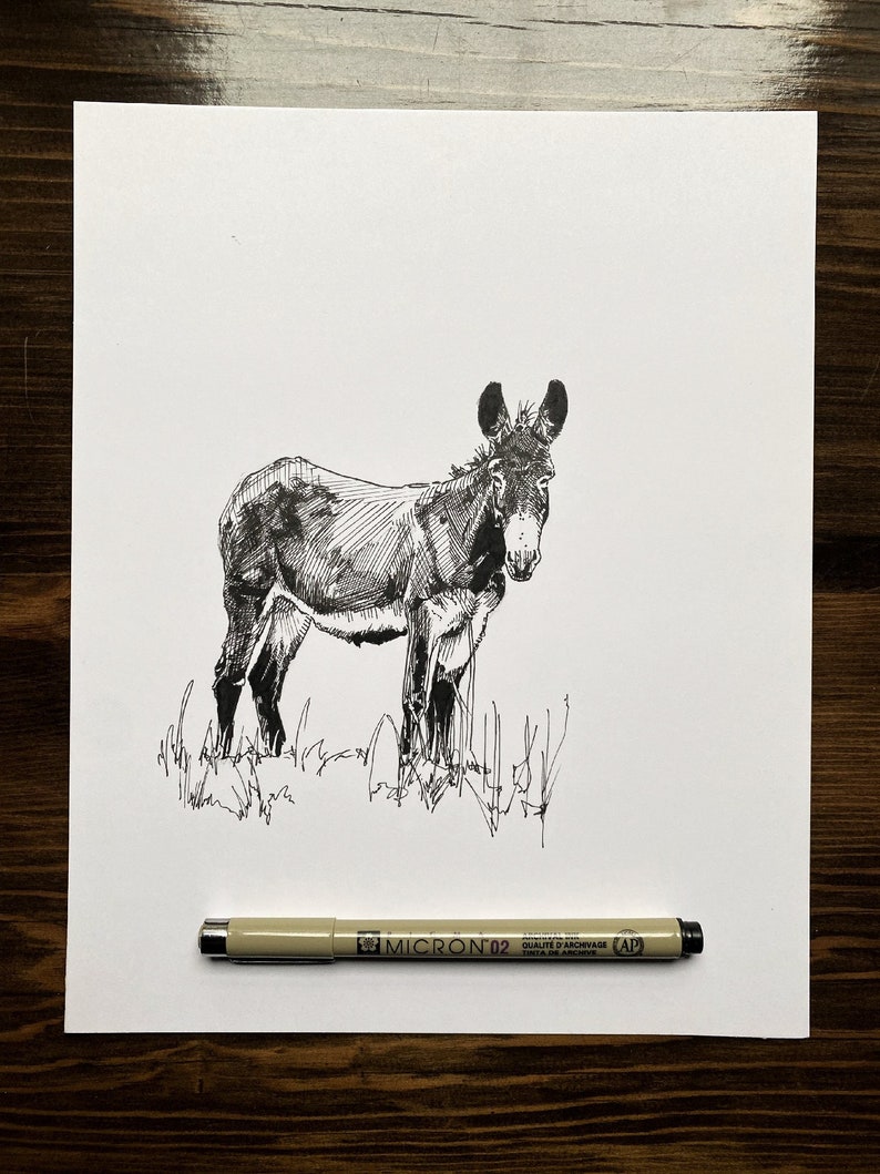 Mule Animal Drawing Wall Art Art of Zoo Animal Art Print Various Sizes ...