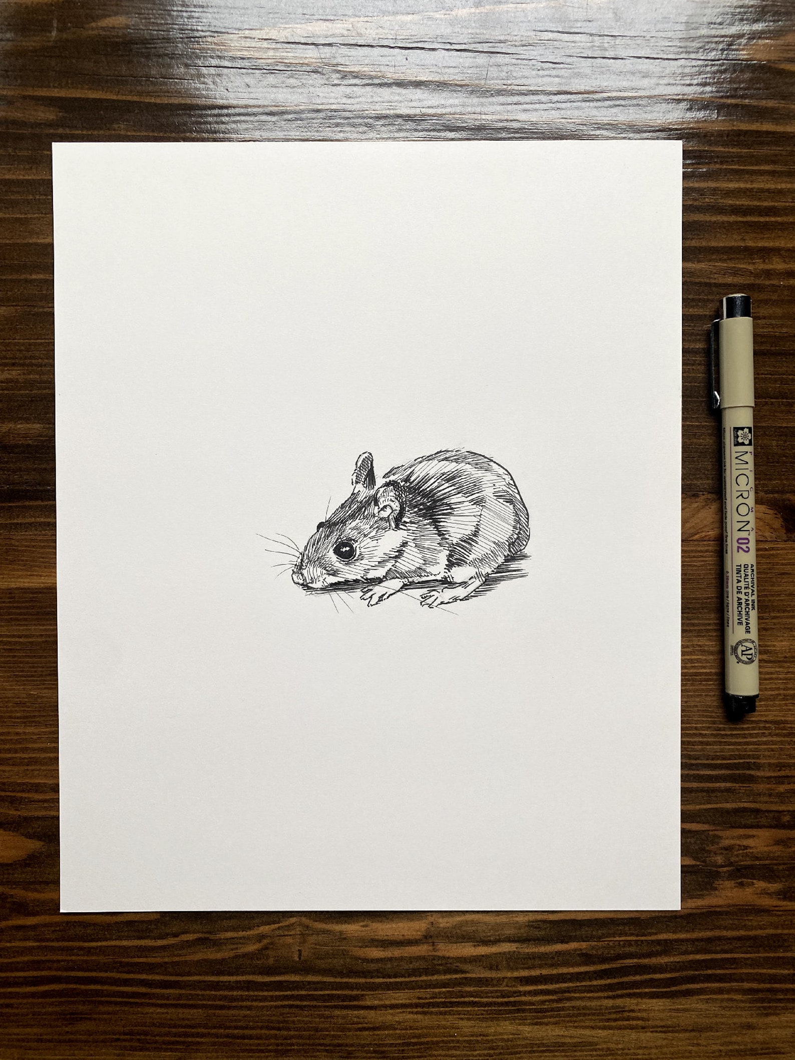 Wood Mouse | Animal Drawing Wall Art | Art of Zoo | Animal Art Print ...