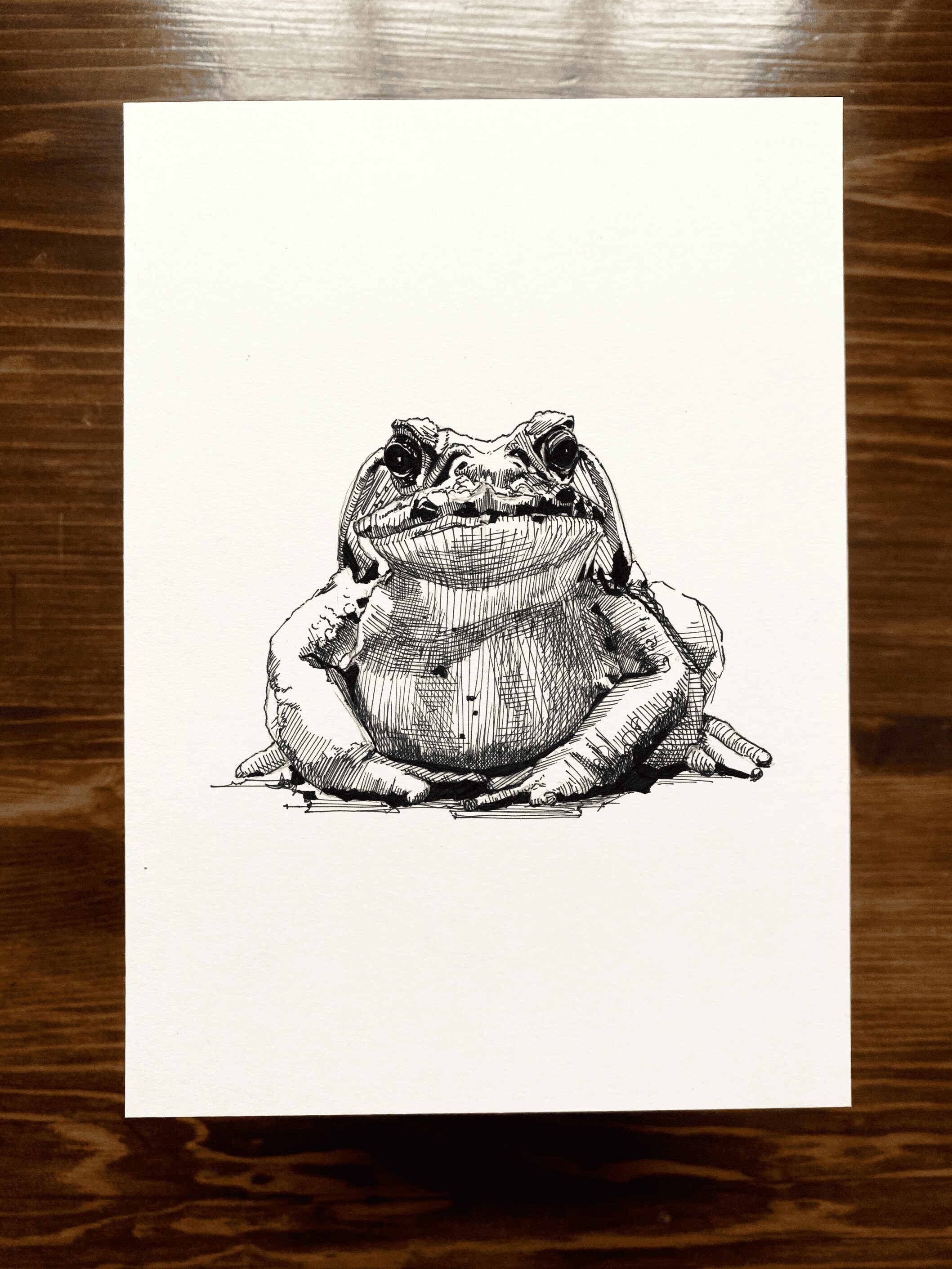 Toad | Animal Drawing Wall Art | Art of Zoo | Animal Art Print ...