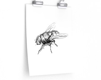 Fly Drawing - Etsy