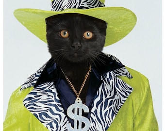 Pimp Cat - Etsy