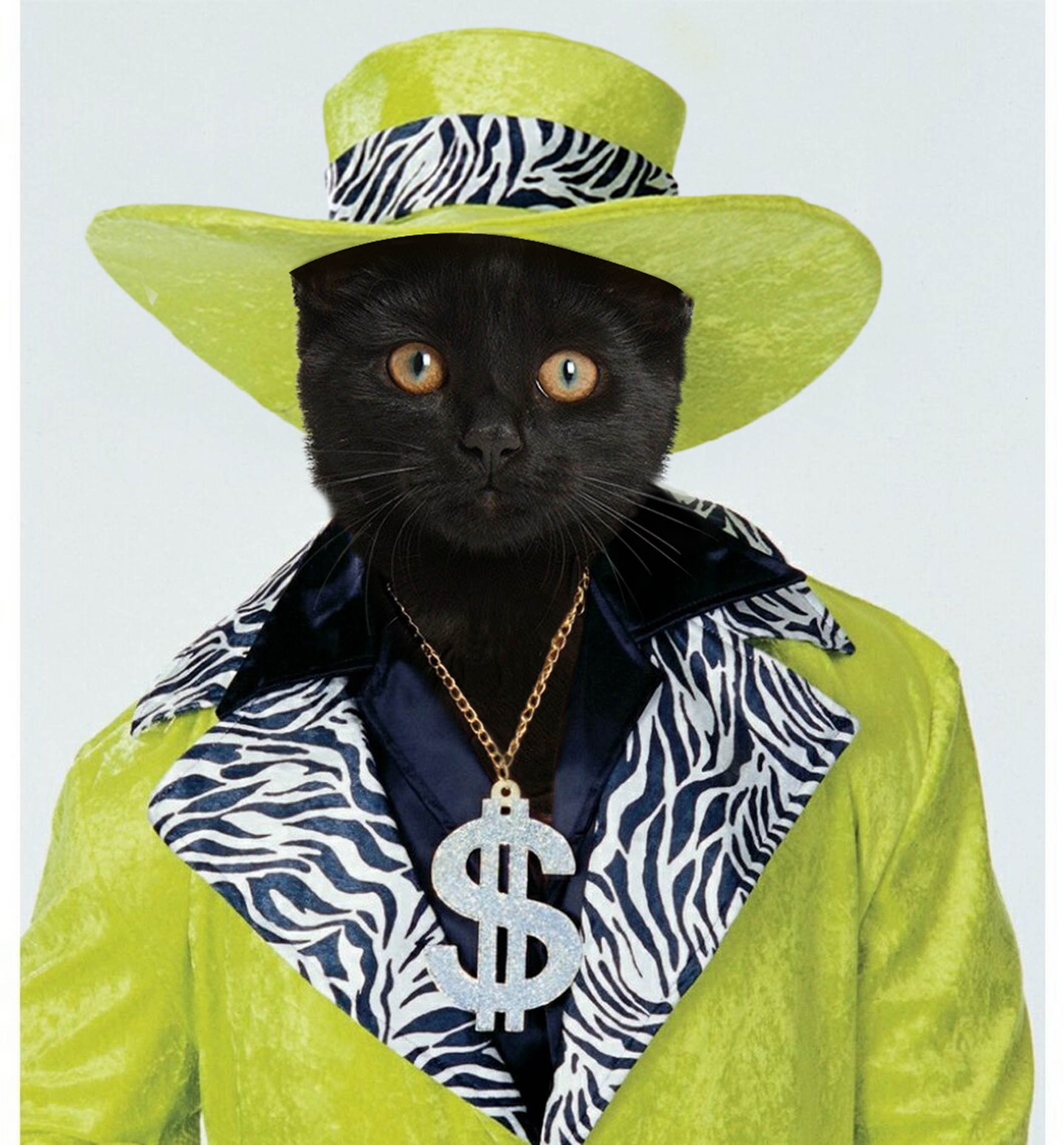 Pimp Cat - Etsy