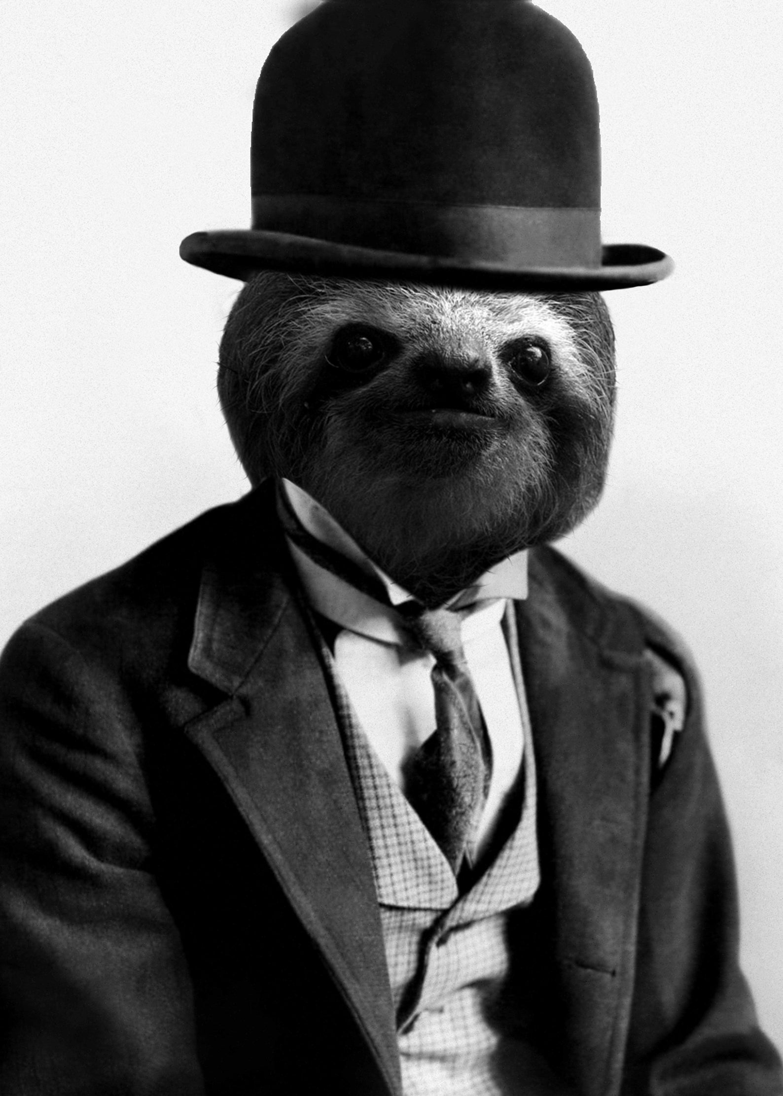 Gentleman Sloth With Bowl Hat Sloth Canvas Poster Art Decor - Etsy