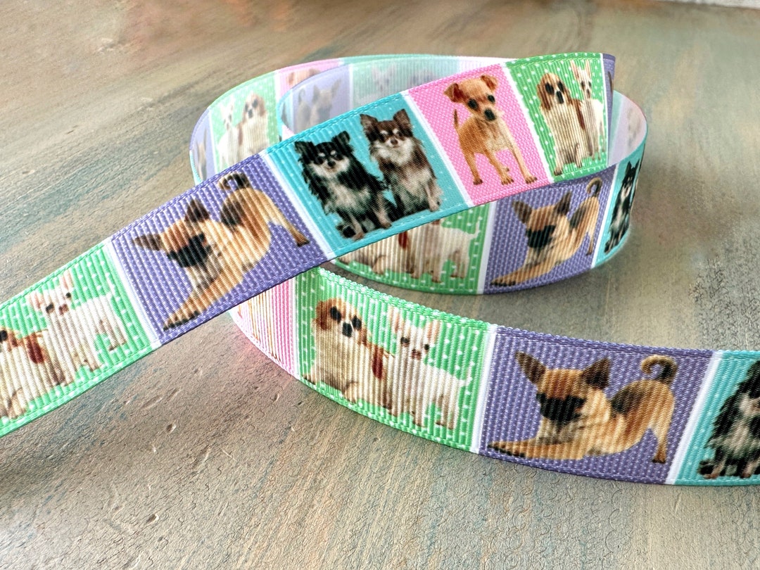 Chihuahua Dogs Grosgrain Ribbon 22mm Puppy Ribbon Rainbow Portrait ...