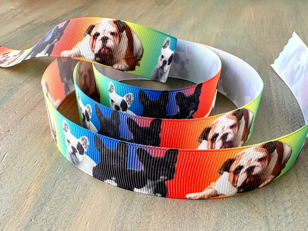 Bully Babes Grosgrain Ribbon 22mm Rainbow Ribbon Bulldog Ribbon Puppy ...