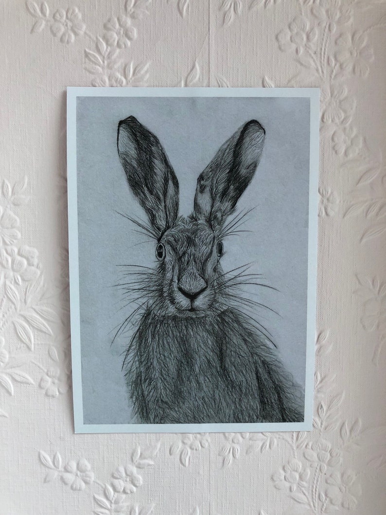 Hare Drawing Print | Etsy