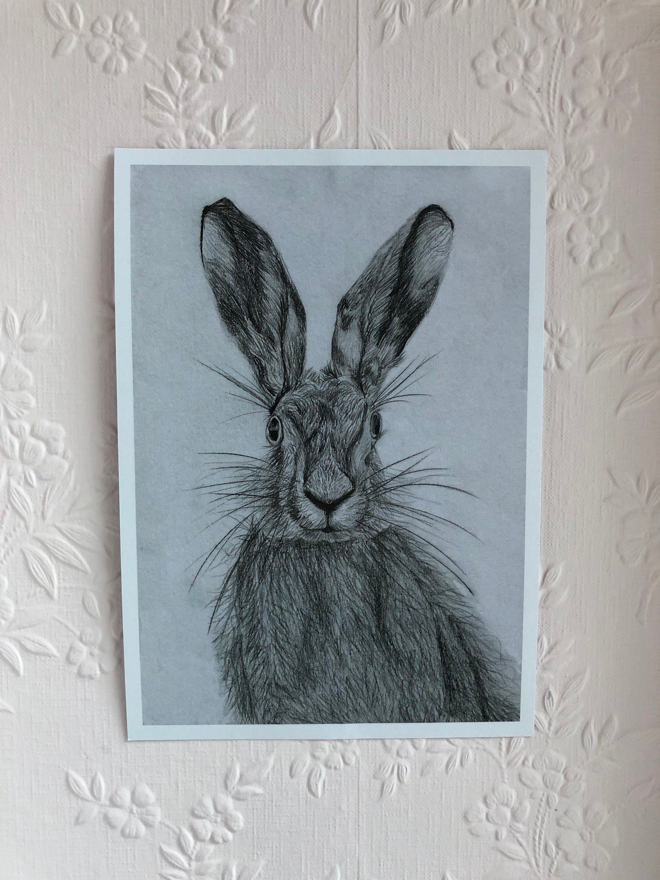 Hare Drawing Print - Etsy
