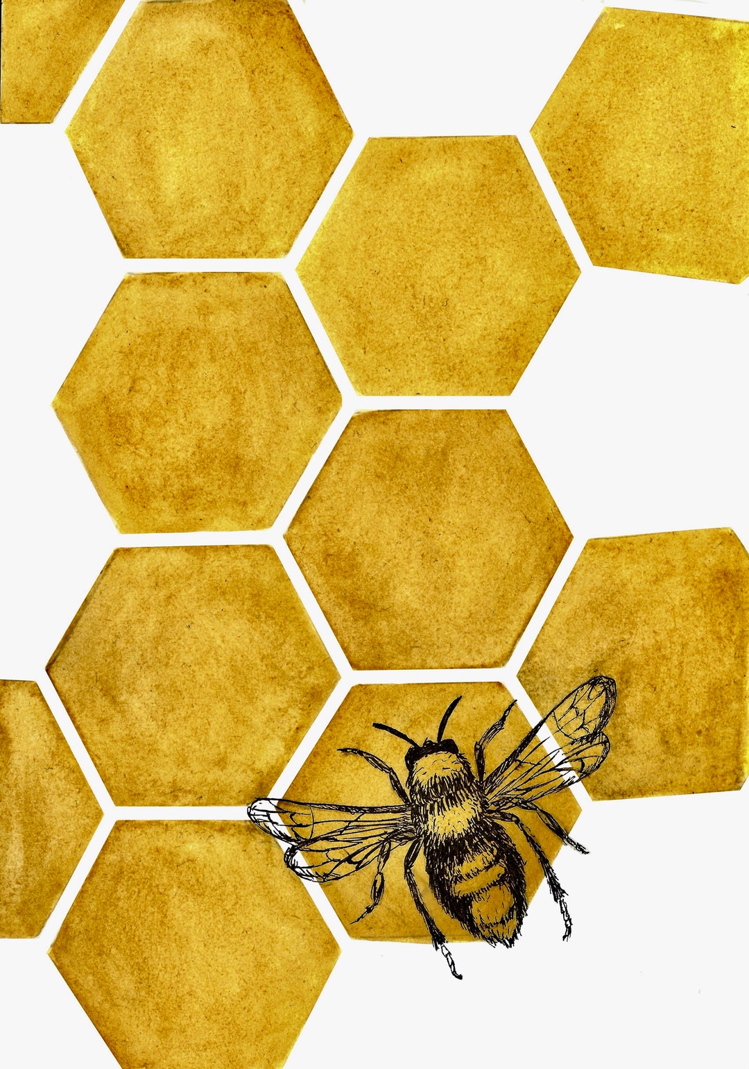 Bee Honeycomb Watercolour Matte Print - Etsy