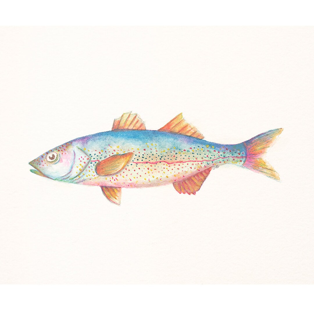 Printable Fish Art | Watercolor Sea Bass | Wall Art - Etsy