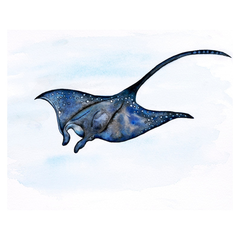 Stingray Sea Hunter Fish Art Watercolor | Downloadable Printable Art - Etsy
