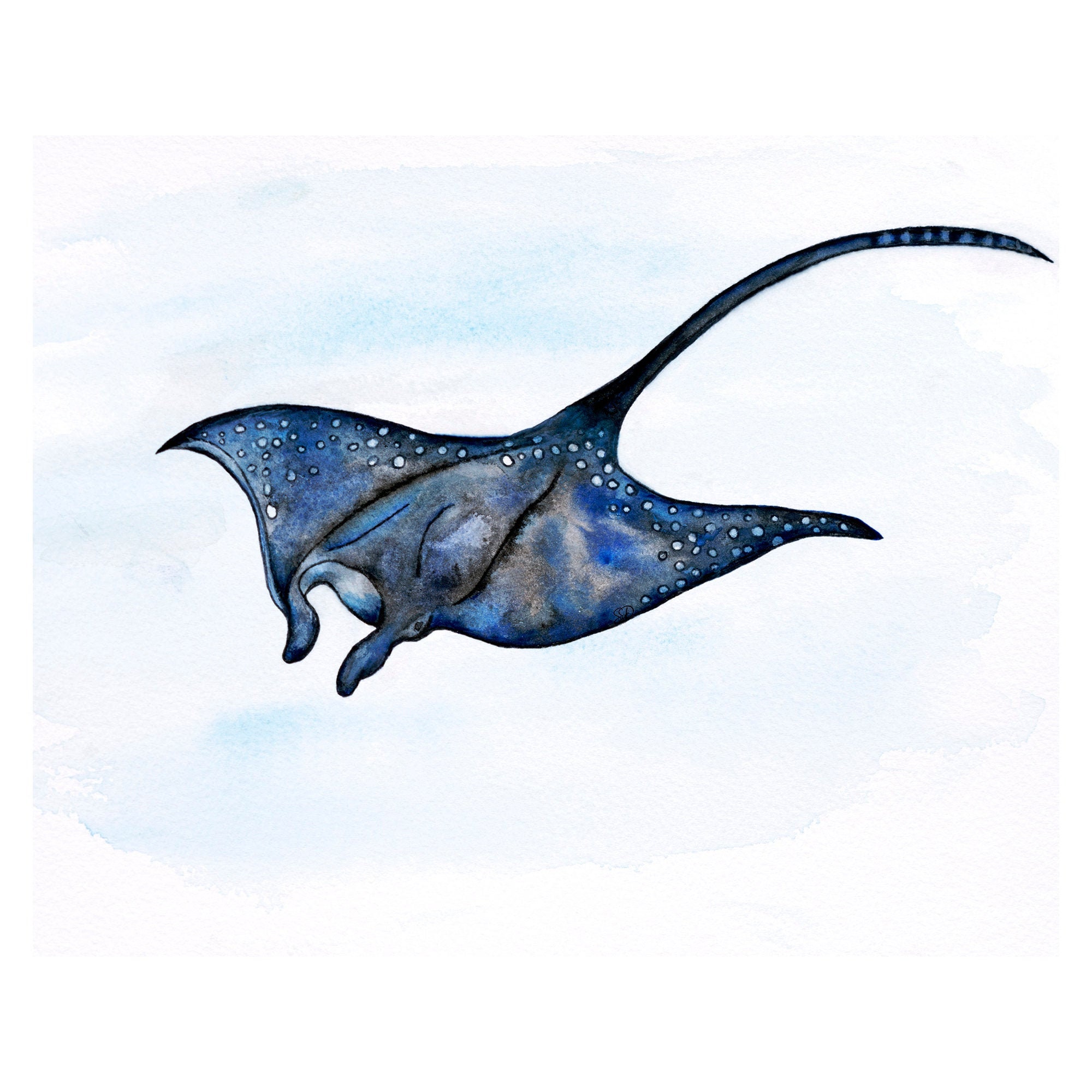 Stingray Sea Hunter Fish Art Watercolor | Downloadable Printable Art - Etsy
