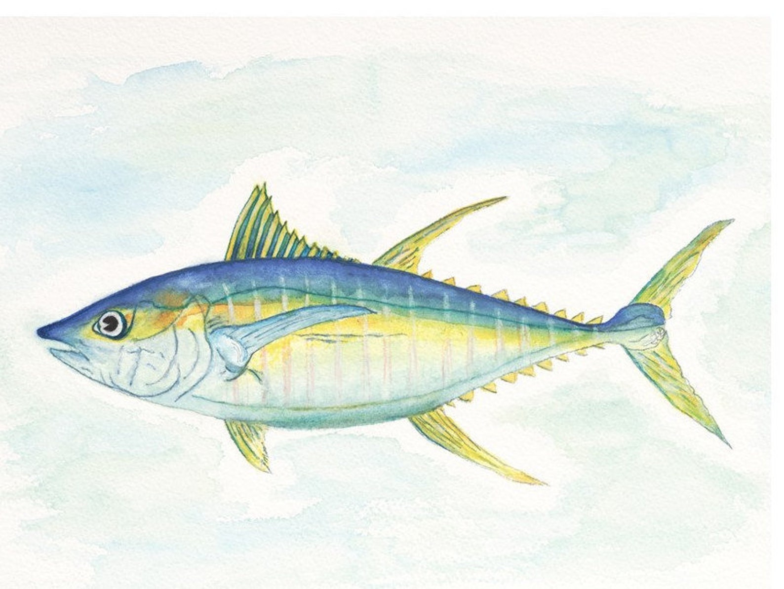 Watercolor Yellow Fin Tuna Wall Art | Instant Download Printable Wall ...