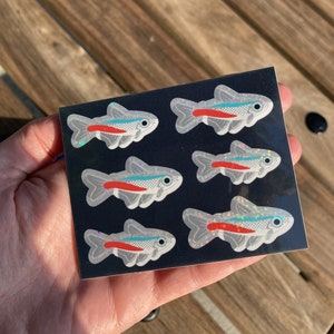 Neon Tetra Sticker Sheet - Etsy