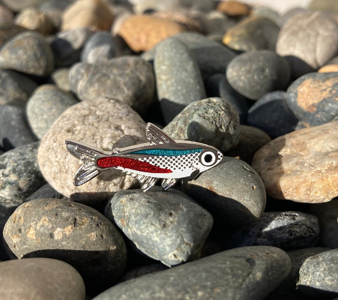 Neon Tetra Enamel Pin - Etsy