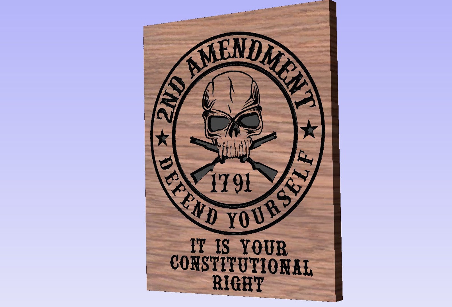 Defend Yourself Its Your Constitutional Right 2nd Amendment | Etsy