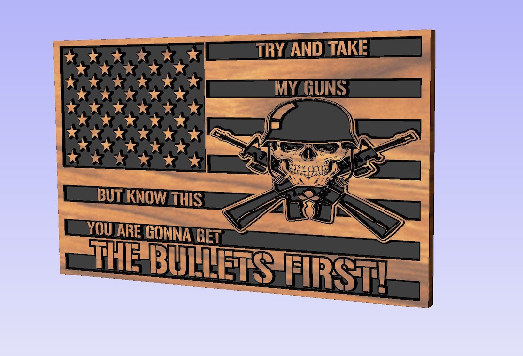 Come and Take My Guns You Will Get the Bullets First 2nd Amendment SVG ...