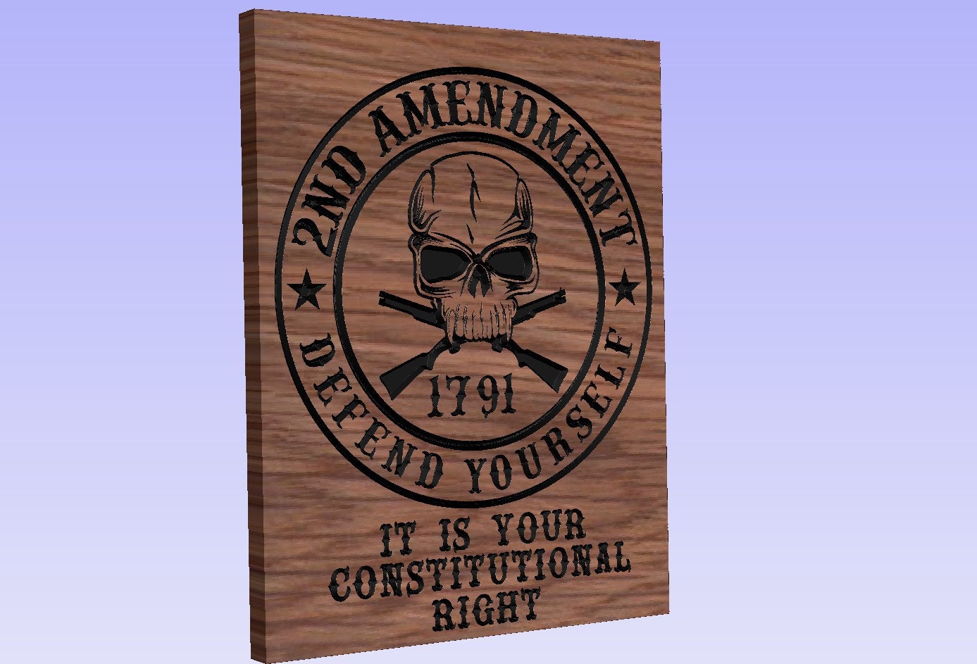 Defend Yourself Its Your Constitutional Right 2nd Amendment - Etsy