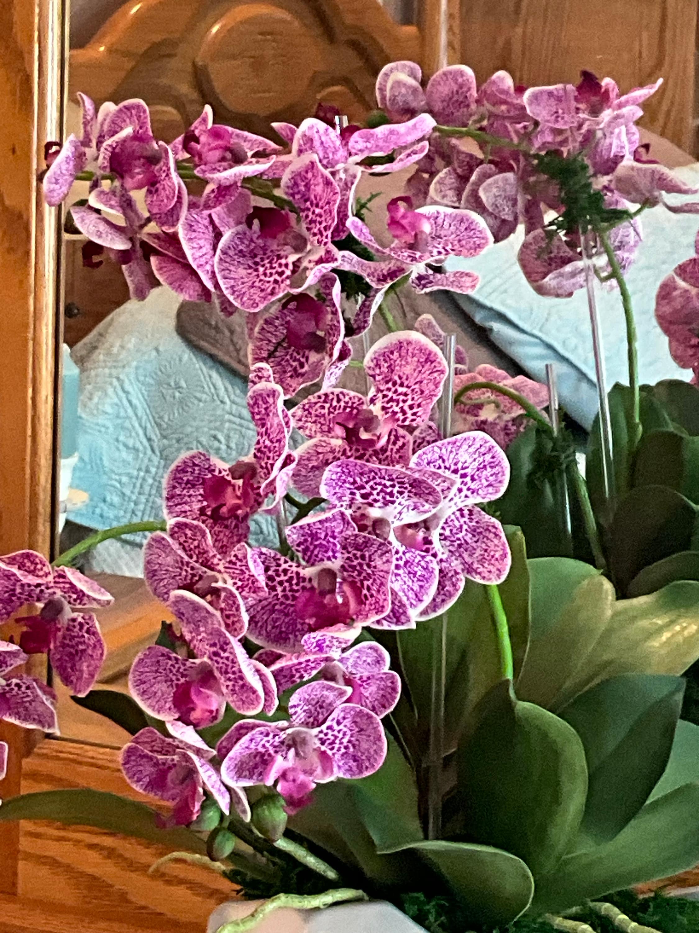 Orchid-cream Floral Arrangement, Orchid-cream Phalaenopsis Design ...