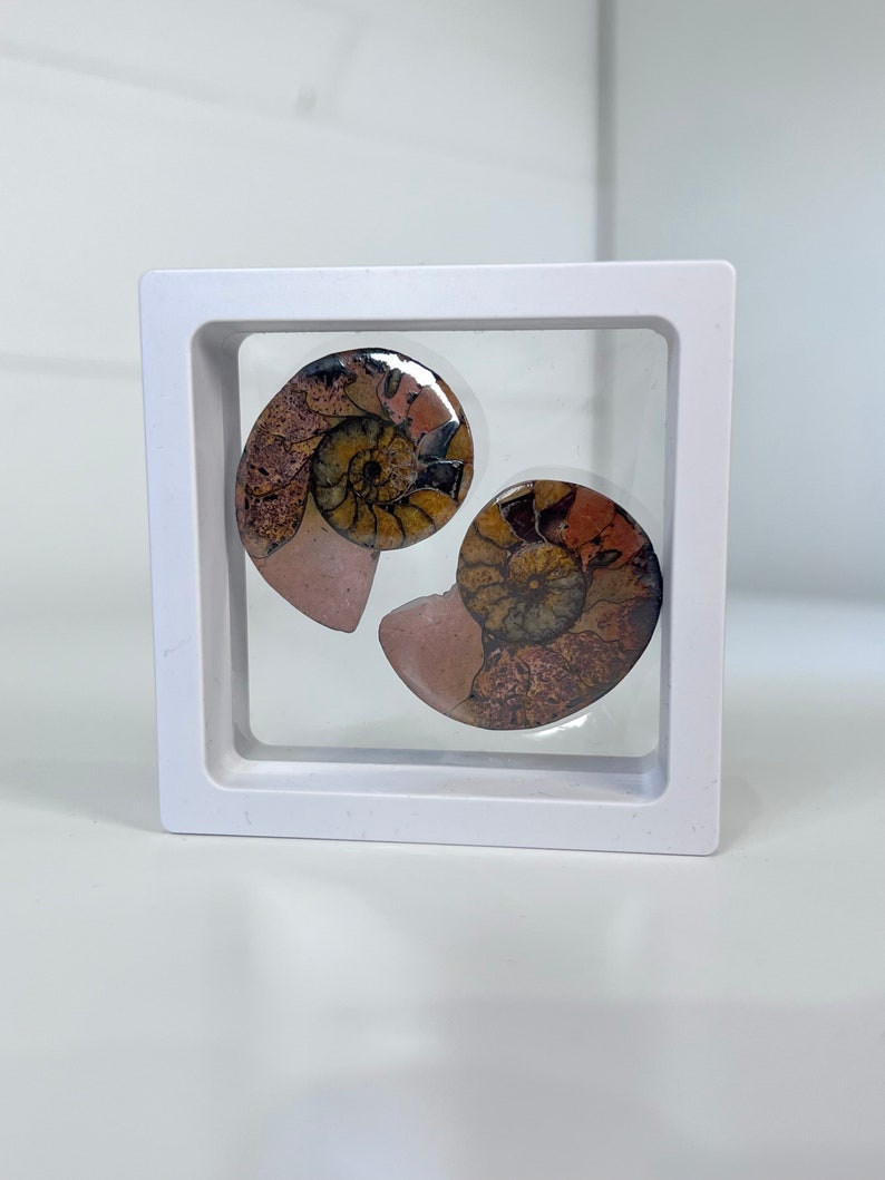 Crystal 3D Display Case - Etsy