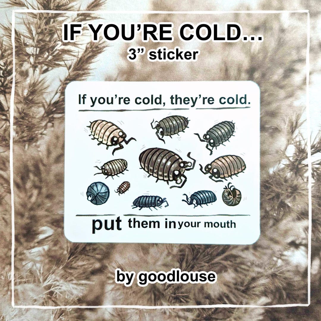 Isopod Meme Sticker || If You’re Cold, They're Cold. Put Them in Your ...