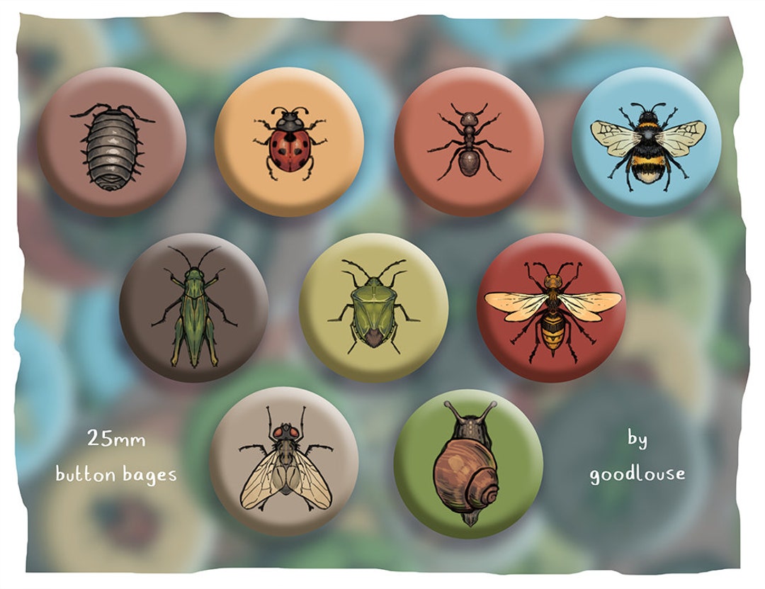 25mm Bug Button Badges Gifts for Bug Lovers Woodlouse, Ladybug, Ant ...