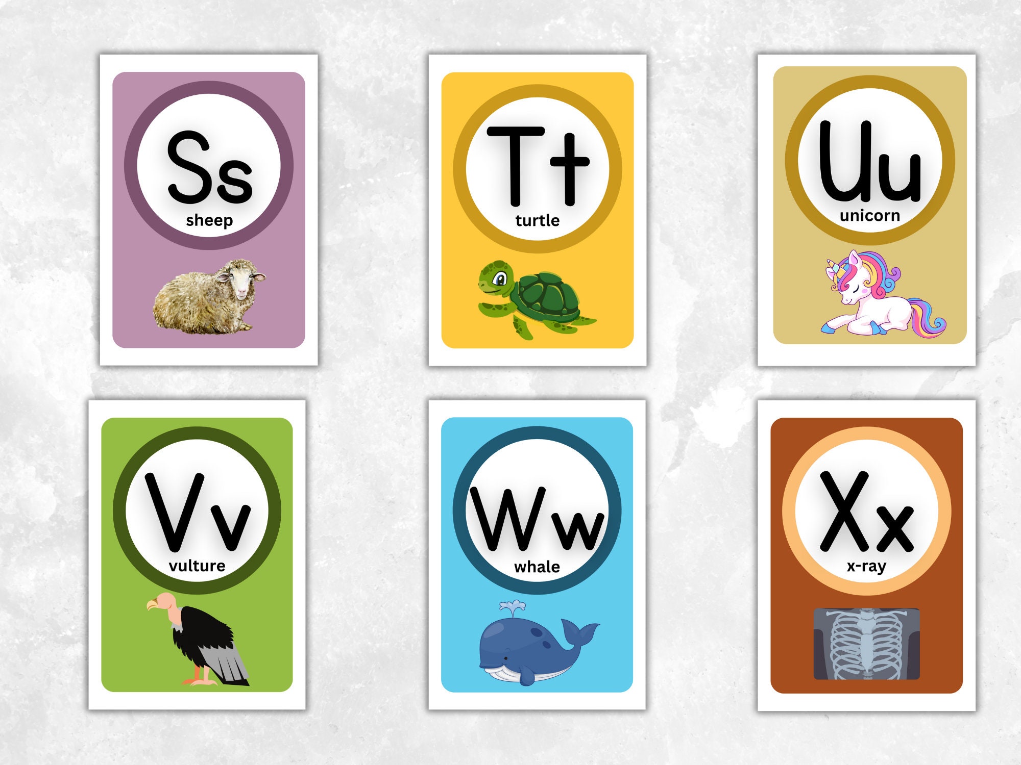 Alphabet Flash Cards & Poster: Learning Resource for Toddlers (digital ...