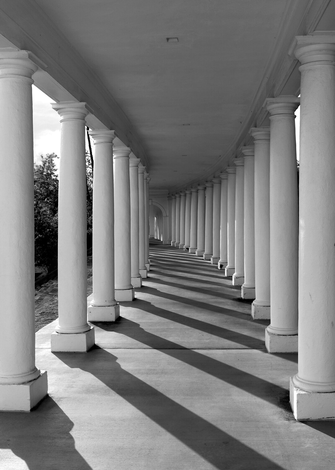 UVA Lambeth Columns Black & White Photo Print by Hoowithaview - Etsy