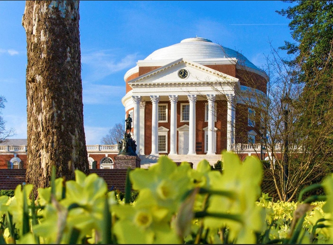 UVA Rotunda Daffodils Photo Print by Hoowithaview - Etsy