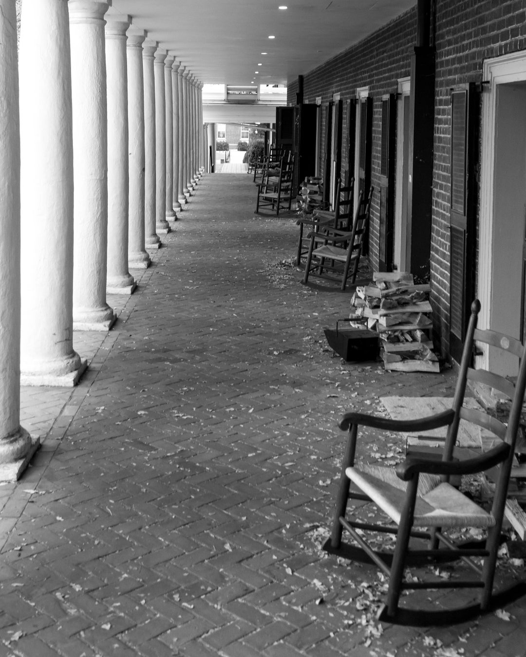 UVA Lawn Room Columns Black & White Photo Print by Hoowithaview - Etsy