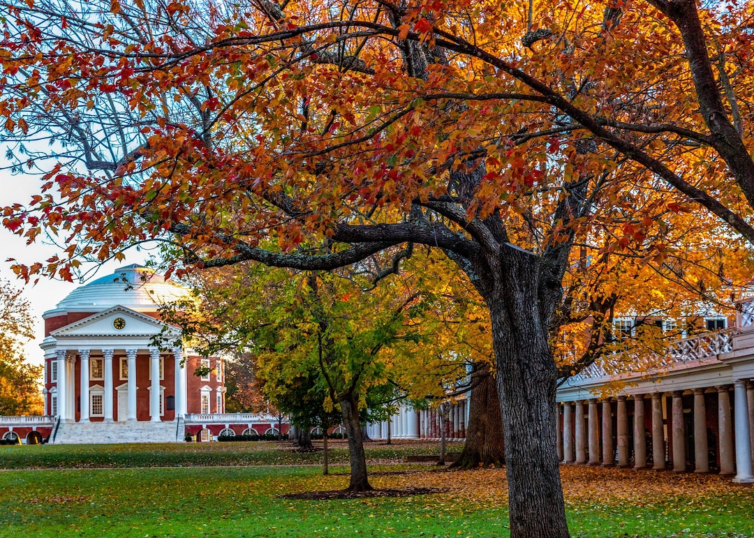 UVA Autumn Lawn Photo Print by Hoowithaview - Etsy