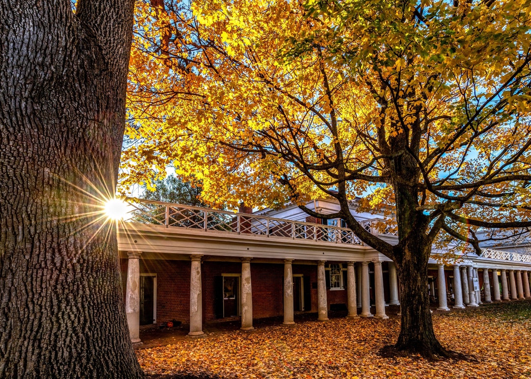 UVA Autumn Lawn Sunrise Photo Print by Hoowithaview - Etsy