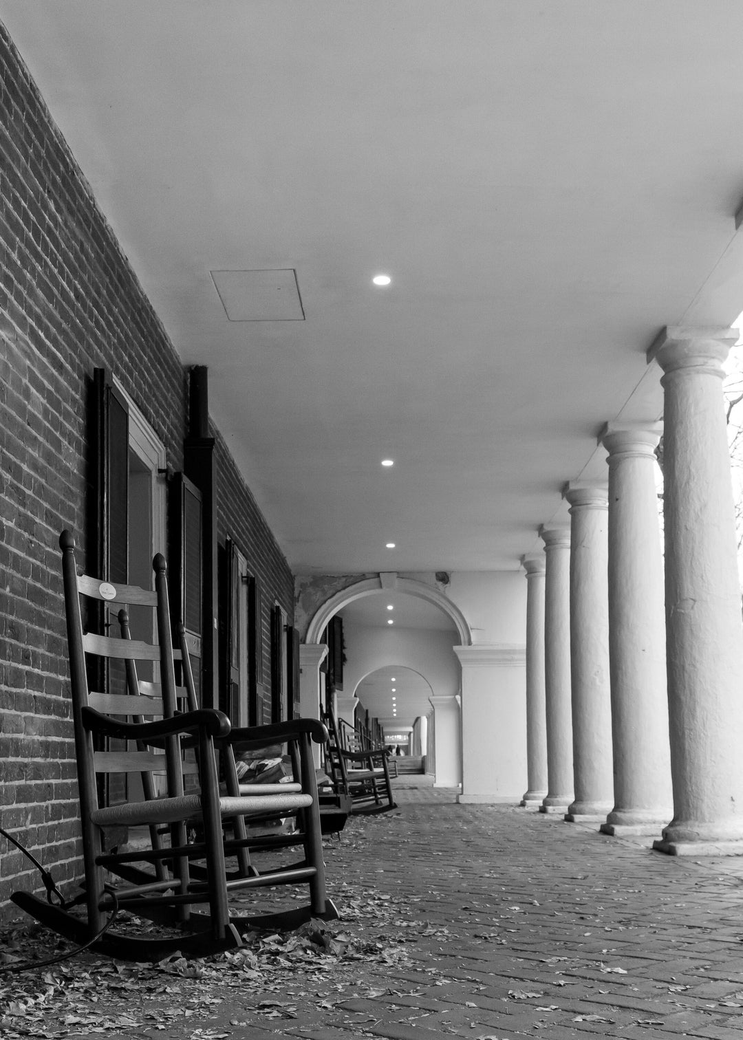 UVA Lawn Room Columns Black & White Photo Print by Hoowithaview - Etsy