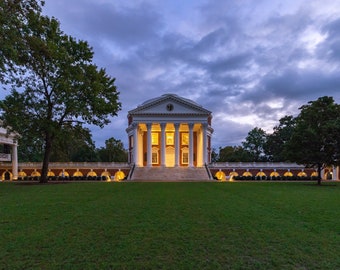 Uva Rotunda Art | Etsy
