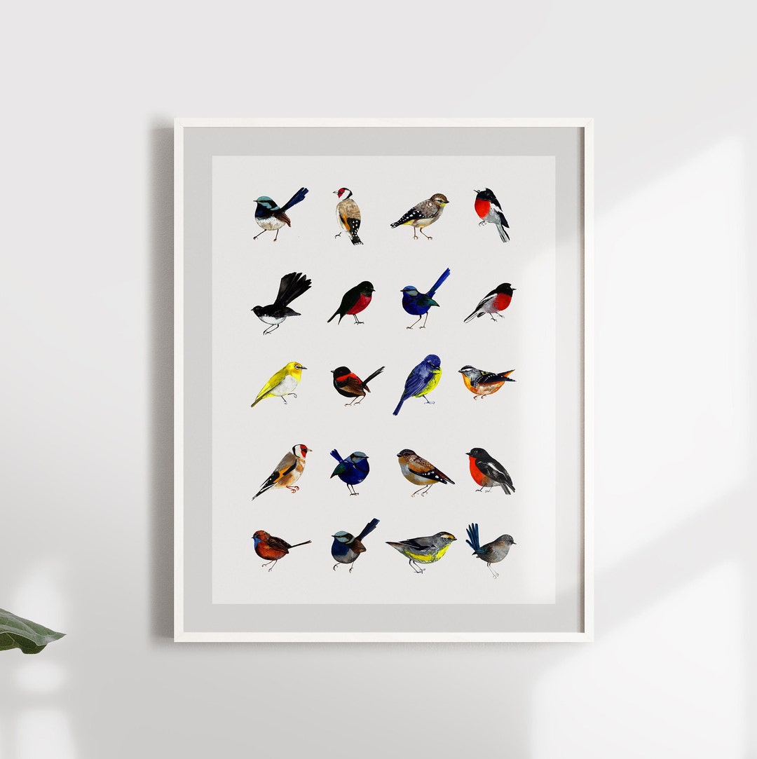 Australian Watercolour Bird Print, Australian Birds, Art Decor, Large ...
