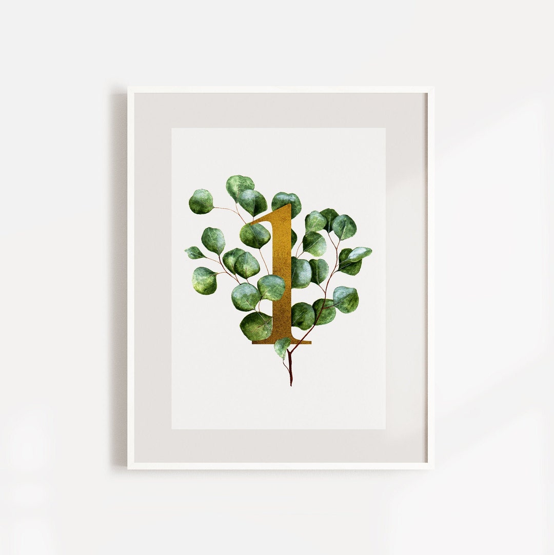 Eucalyptus Australian Number Cards, Milestone Cards, Baby Milestone ...
