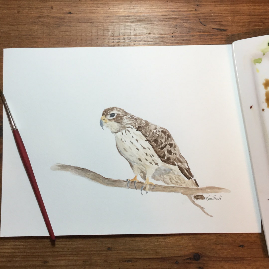 Watercolor Red Tailed Hawk - Etsy