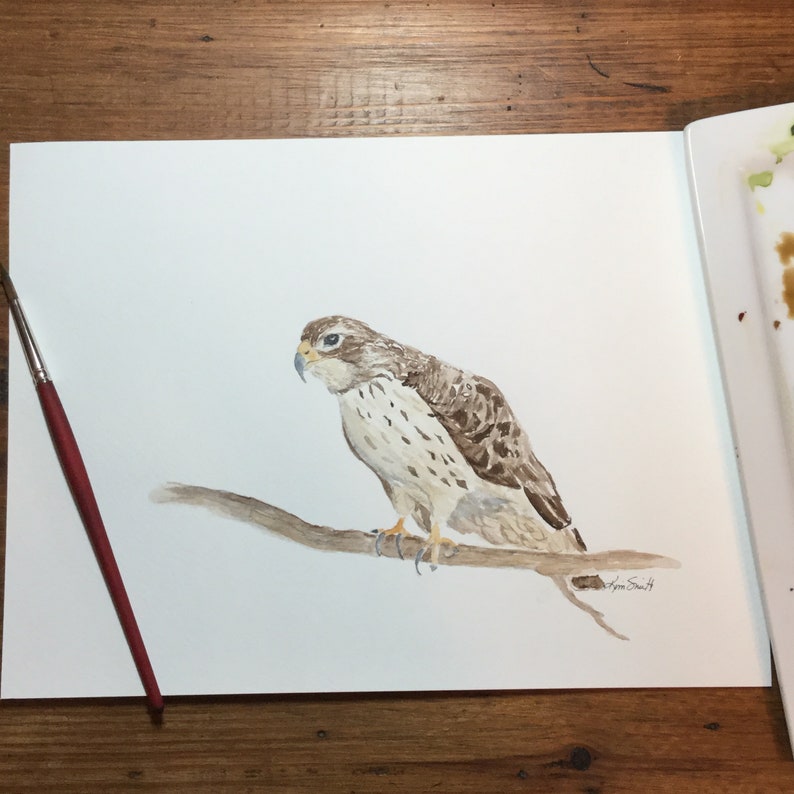 Watercolor Red Tailed Hawk - Etsy