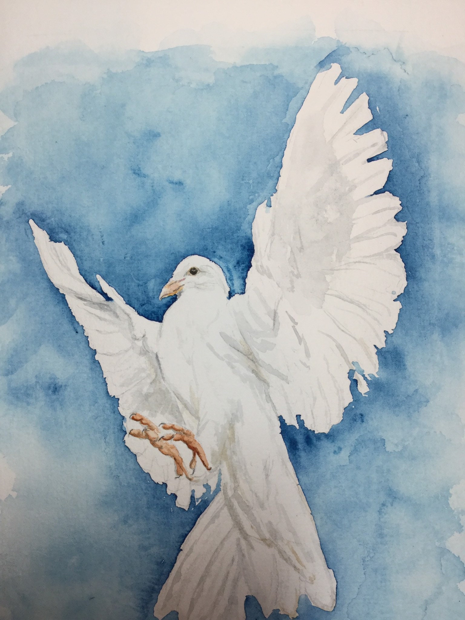 Watercolor Descending Dove - Etsy