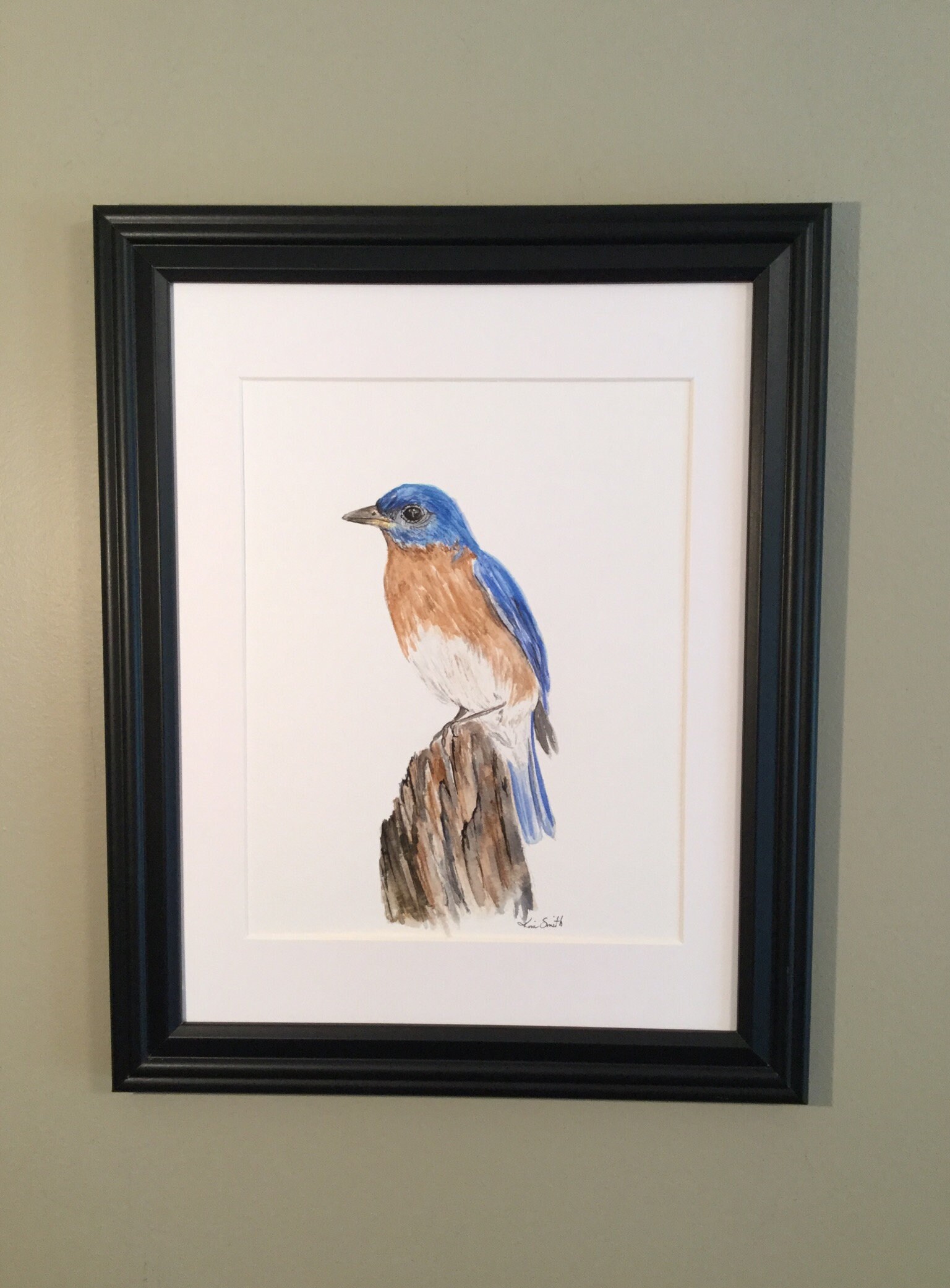 Bluebird - Etsy