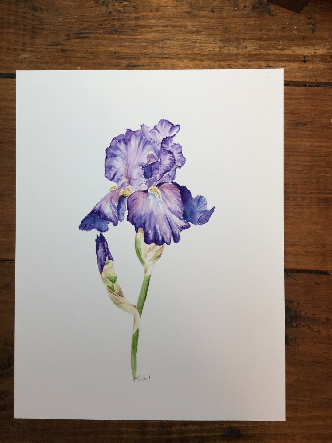 Watercolor Purple Iris 2 - Etsy