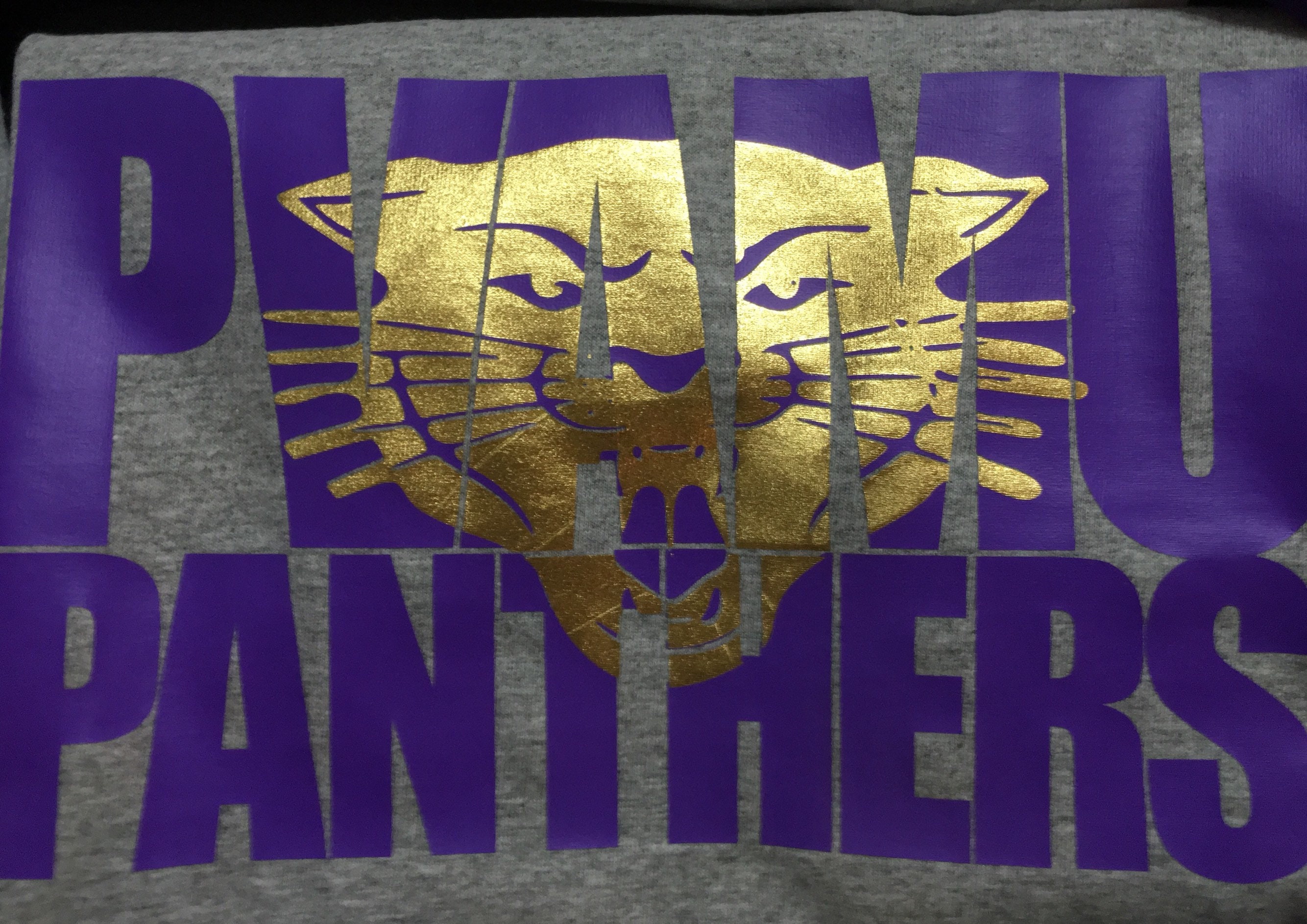 PVAMU Panthers 1 - Etsy