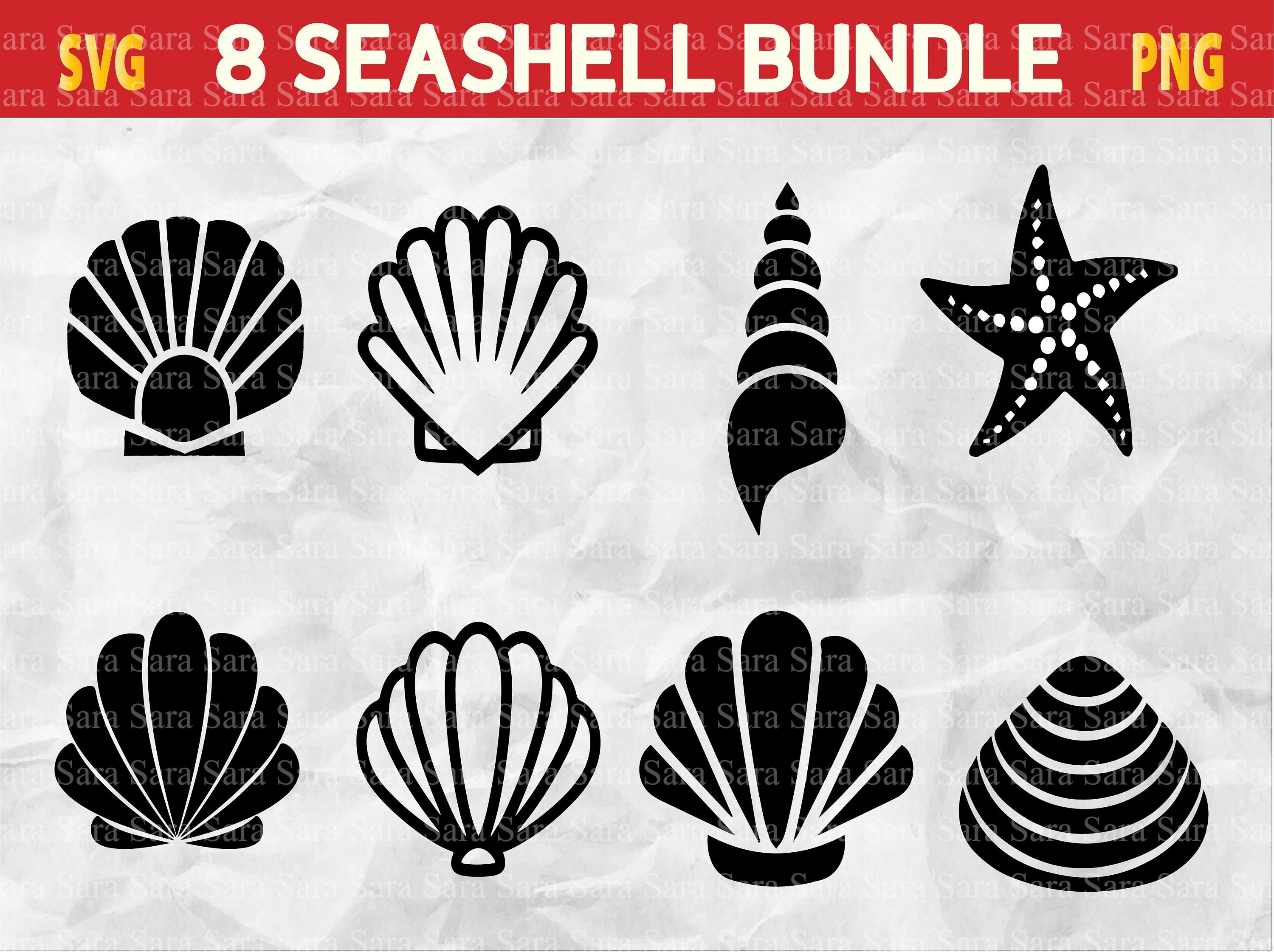 Seashell svg Bundle shell svg sea shell svg shellfish svg | Etsy