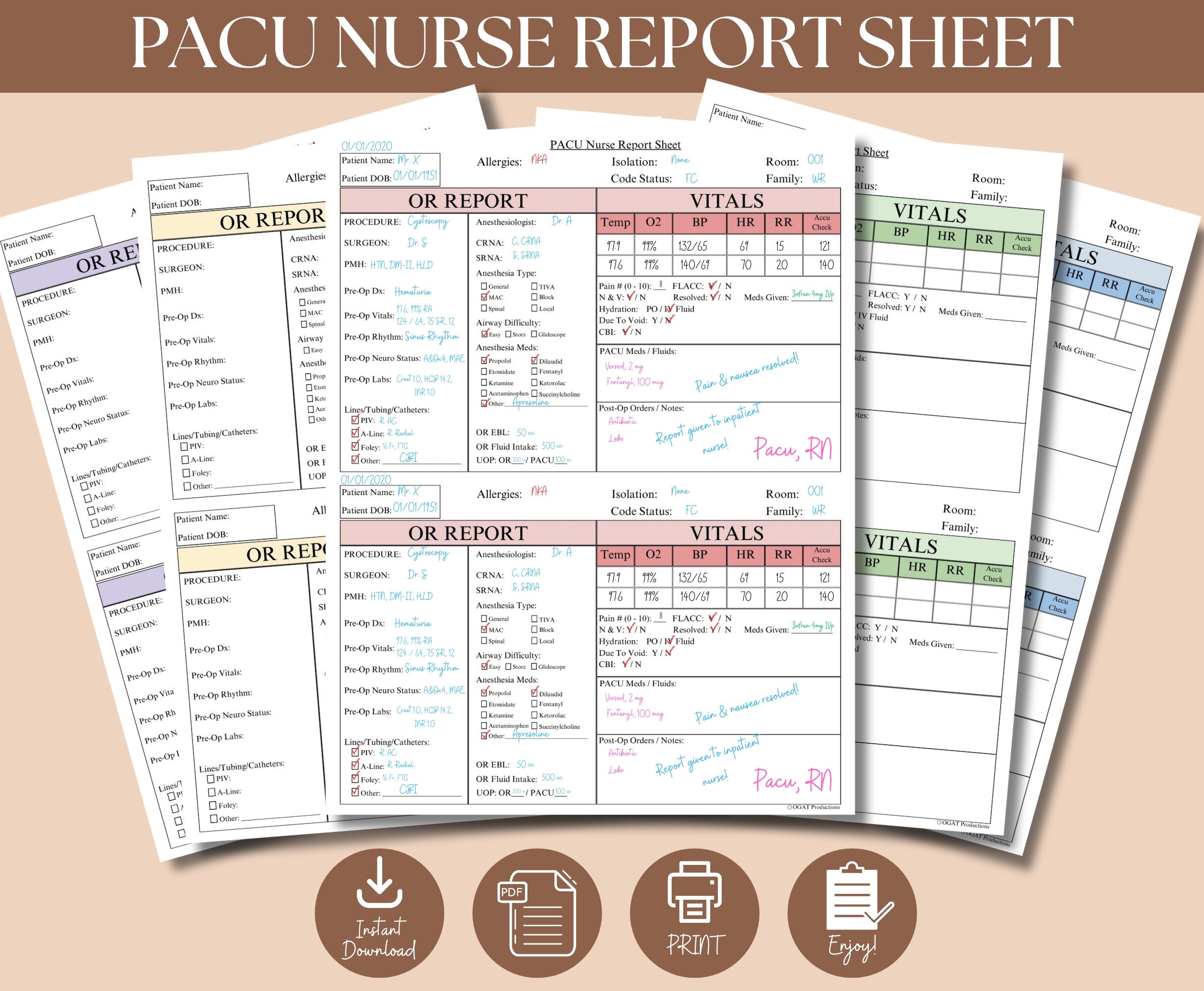 PACU Charge Nurse Printable Sheet Report - Instant Download for ...