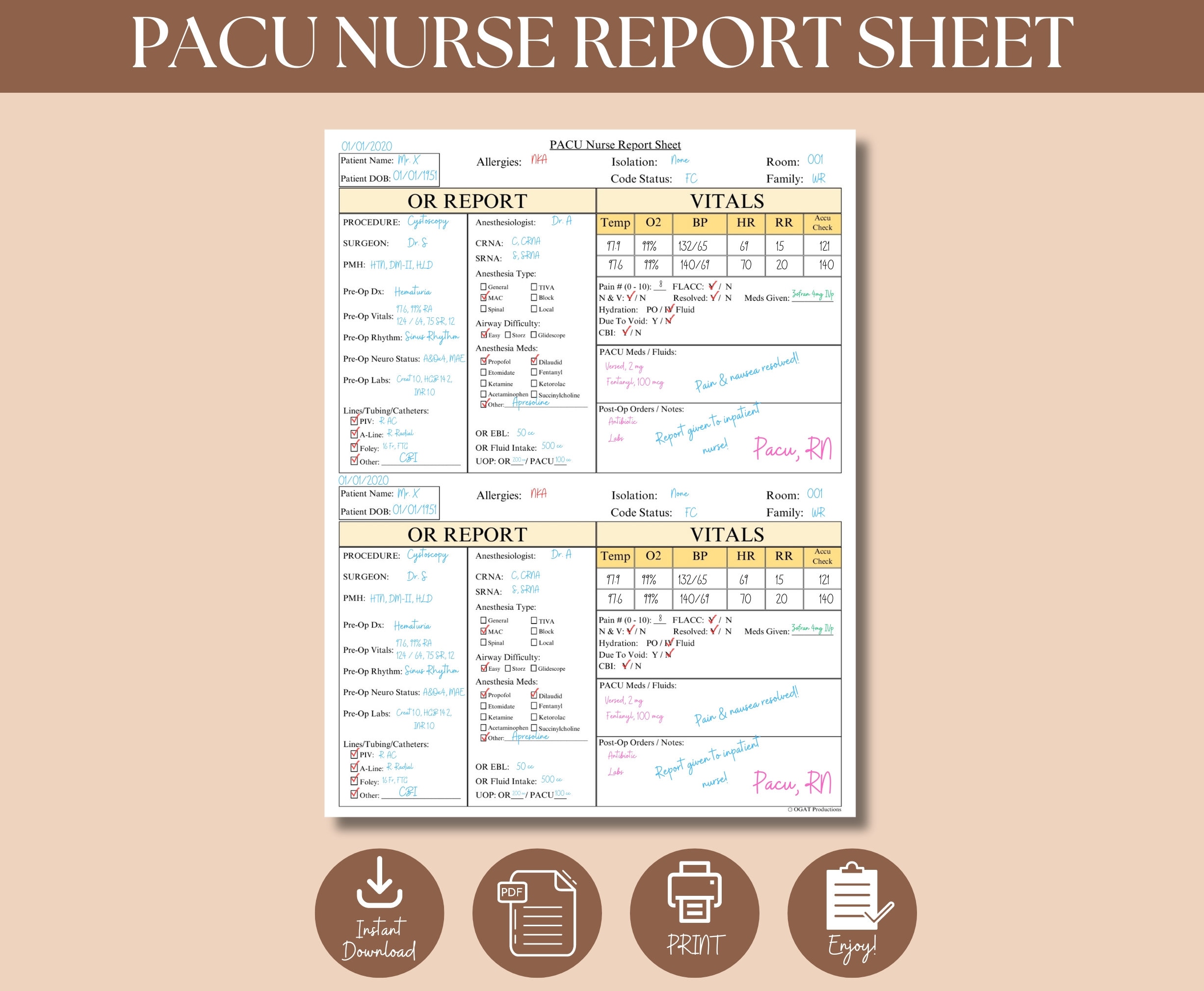 PACU Charge Nurse Printable Sheet Report - Instant Download for ...