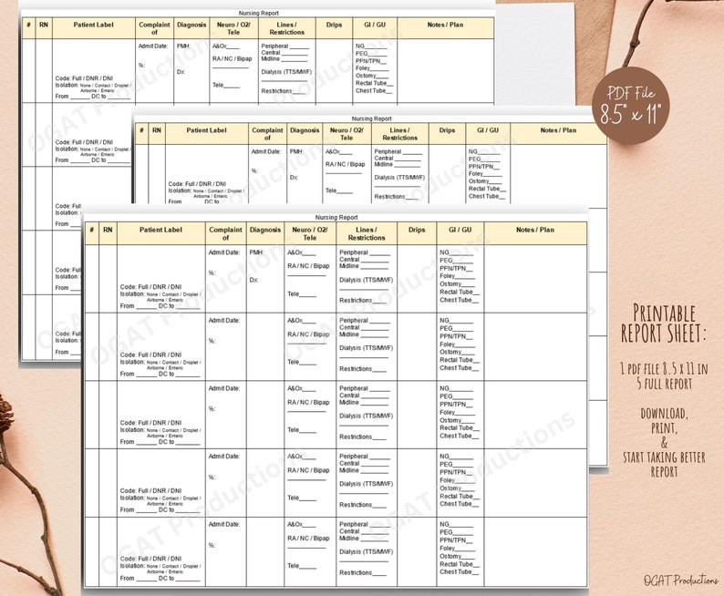Charge Nurse Report Sheet – Healthcare Daily Organizer (PDF) - Etsy