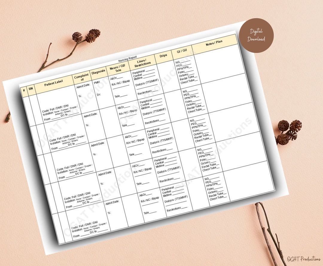 Charge Nurse Report Sheet – Healthcare Daily Organizer (PDF) - Etsy