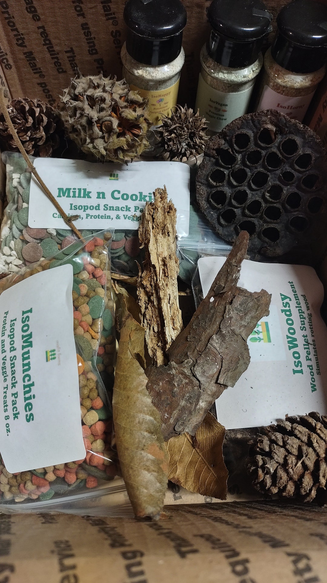 Isopod Mystery Box - Etsy