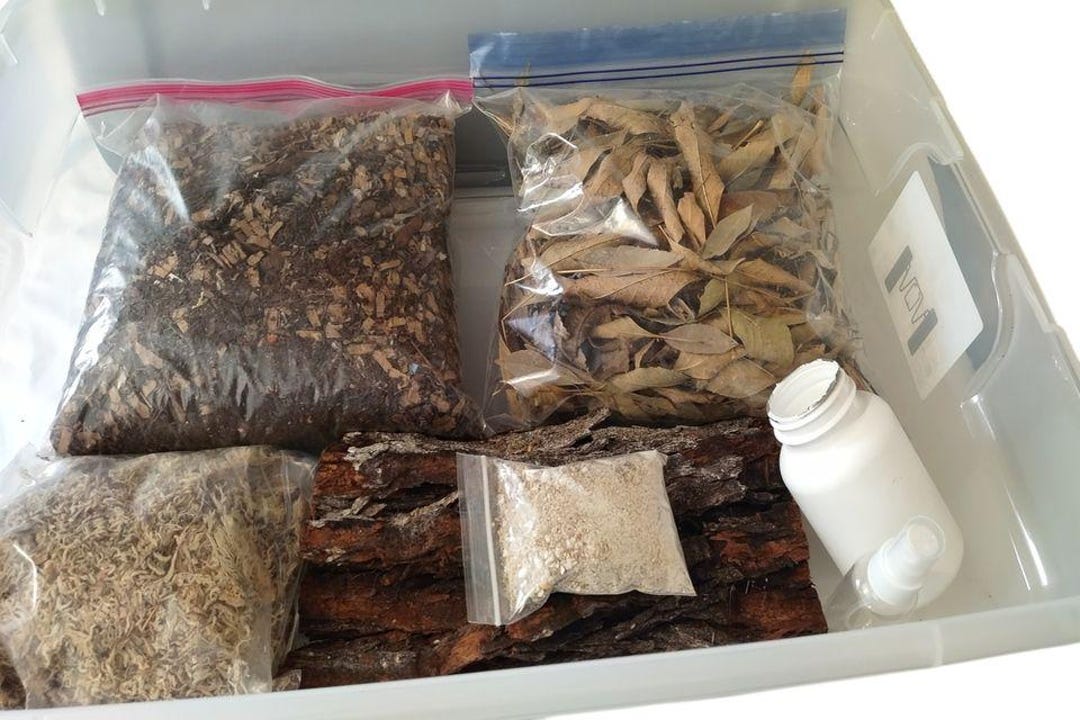 Isopod Habitat Kit 28 Quart - Etsy